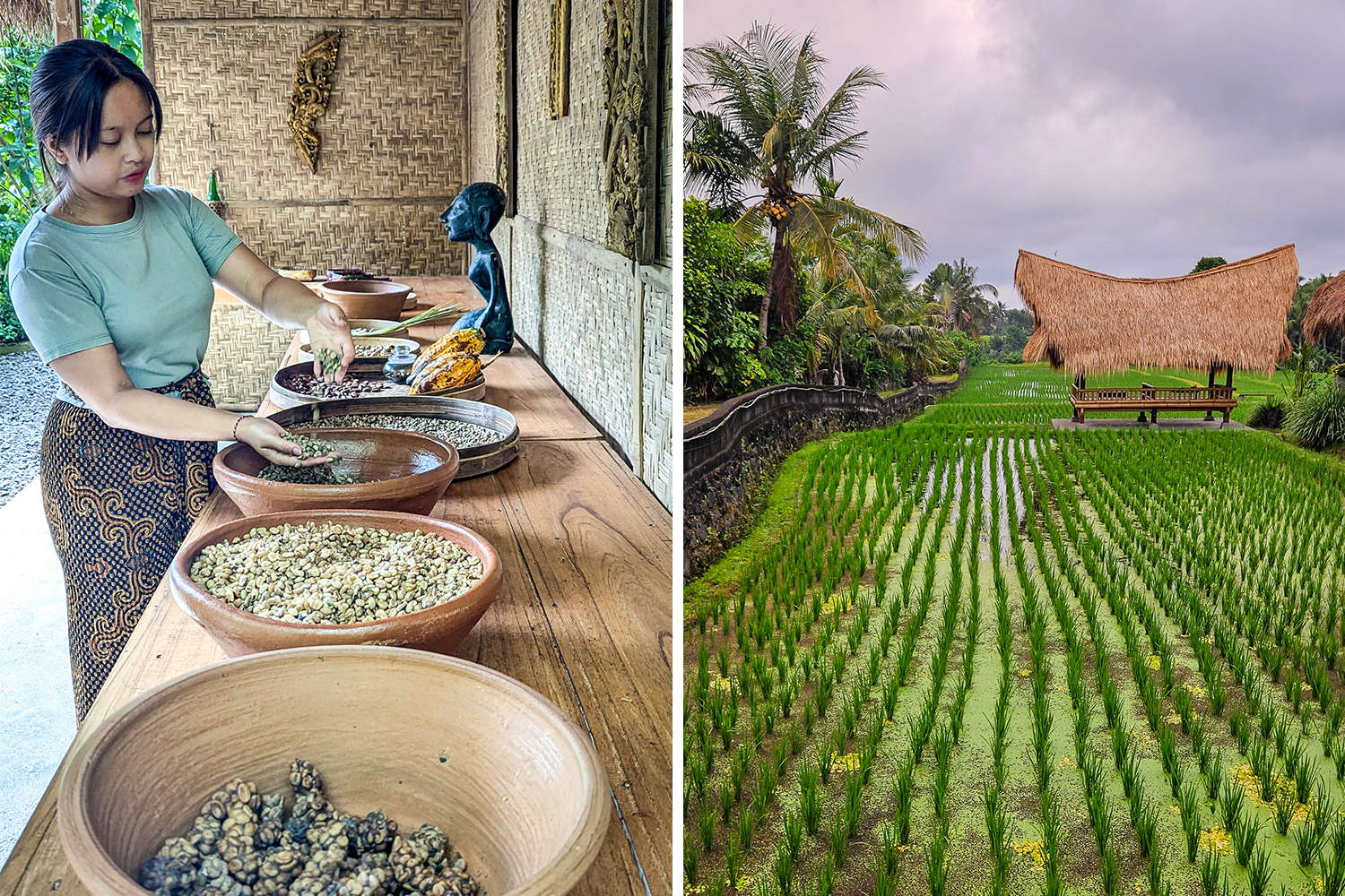 Indonésia (Java, Bali e Lombok) - Entre Espíritos e Vulcões - Vagabond